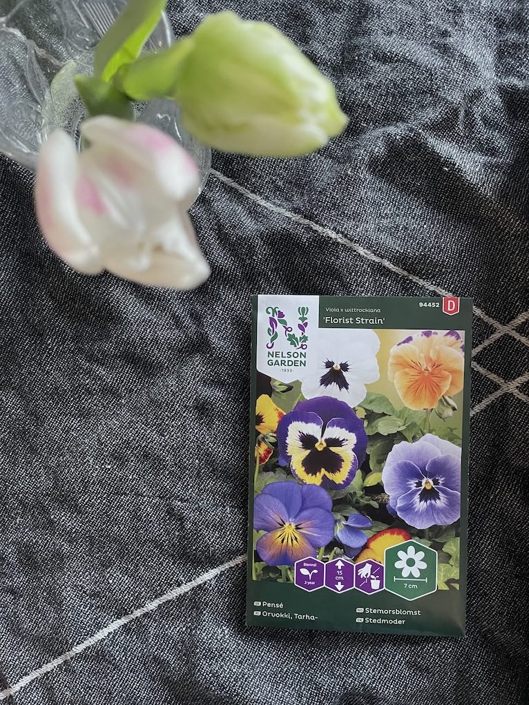 Orvokin kasvatus siemenistä | Slow Flower Garden