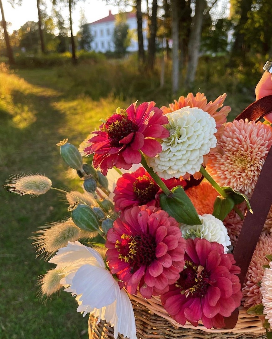 Leikkokukat tuovat kauneutta kotiin | Slow Flower Garden